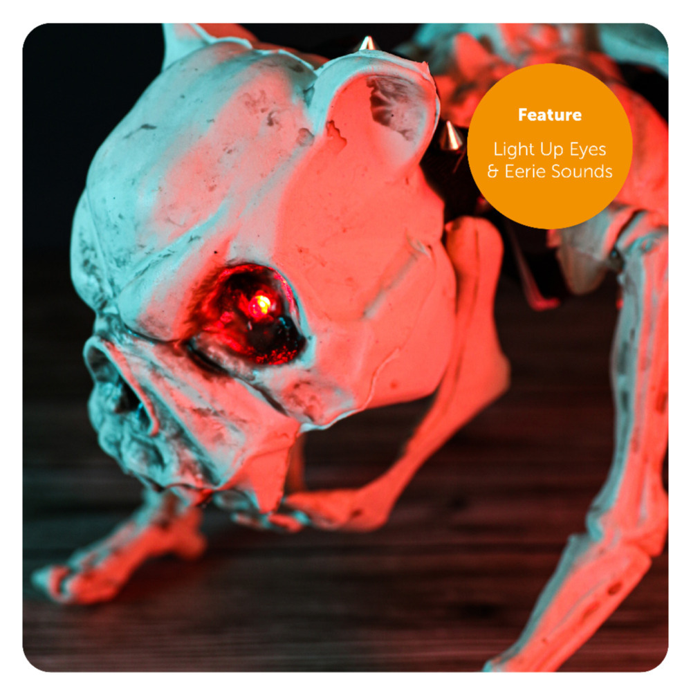 Dog Skeleton Prop with Light Up Eyes + Sound | Cazaar